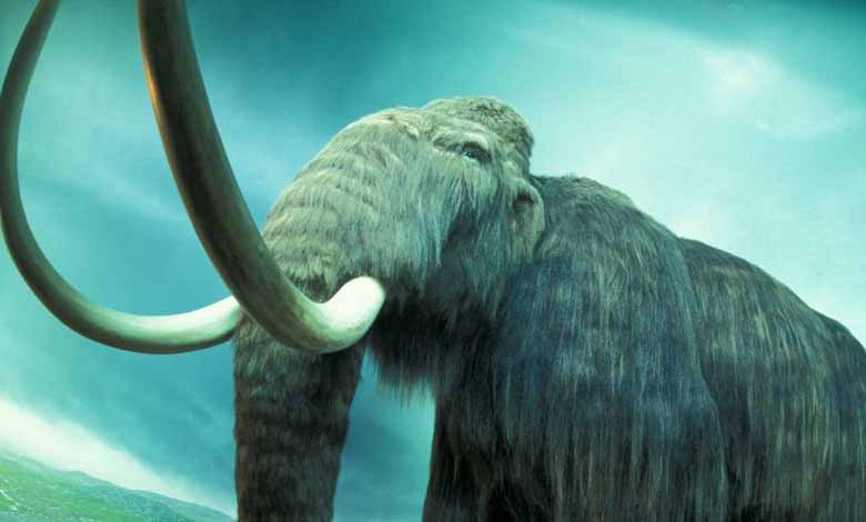 A Scientific Project.. Will Mammoth Return Save Planet? - En.ImArabic