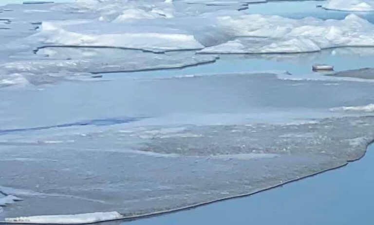 Expedition Discovers Island Believed World's Northernmost - En.ImArabic