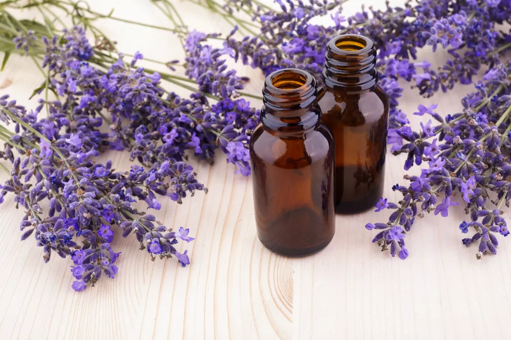 Essential oils to relieve angina - En.ImArabic