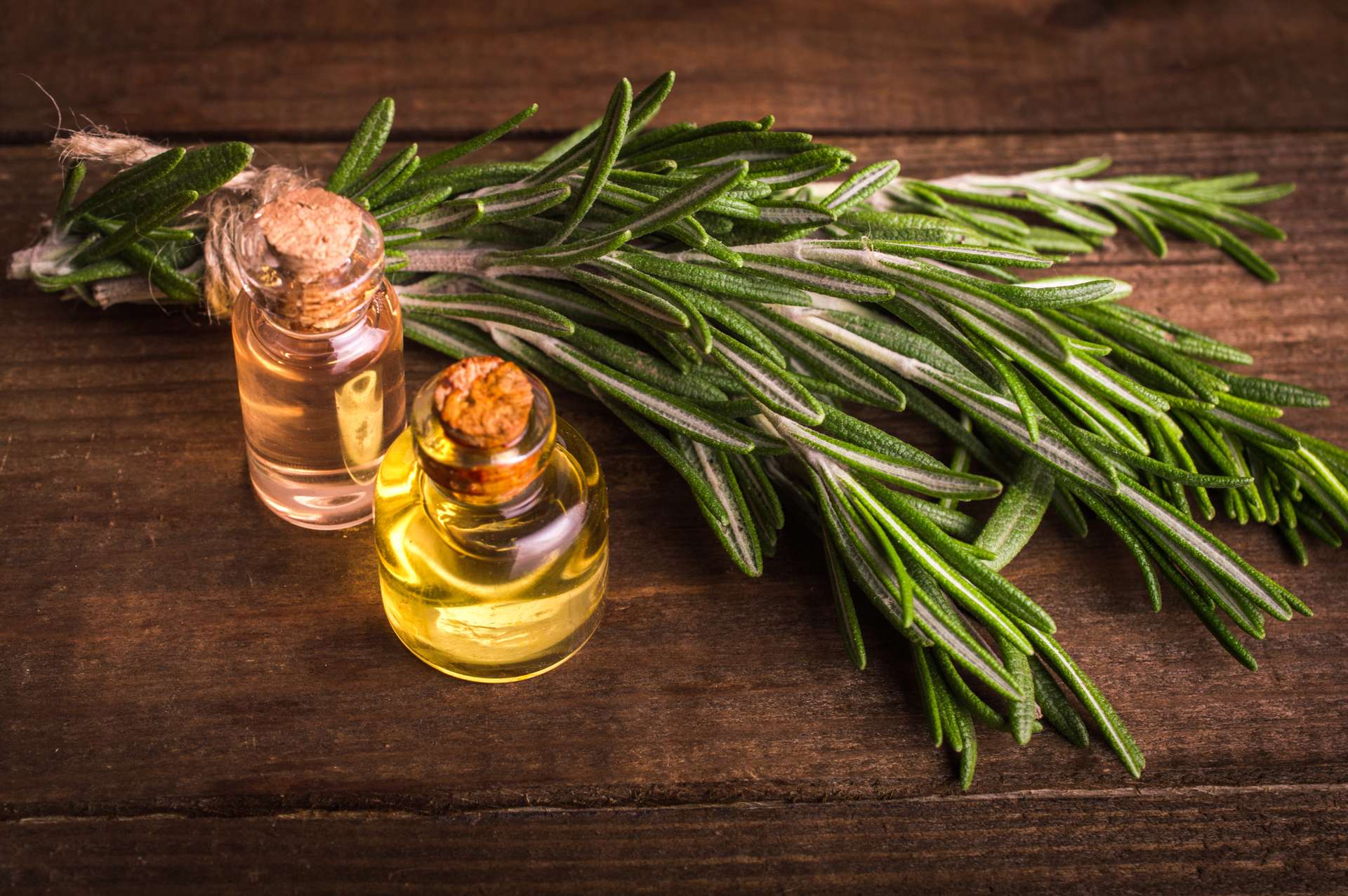 Rosemary: its health virtues to discover - En.ImArabic