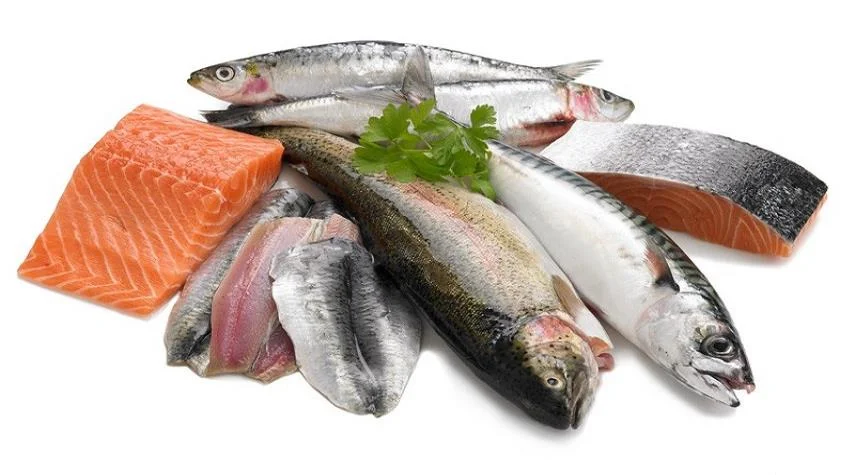 Which fish are the least fatty? - En.ImArabic