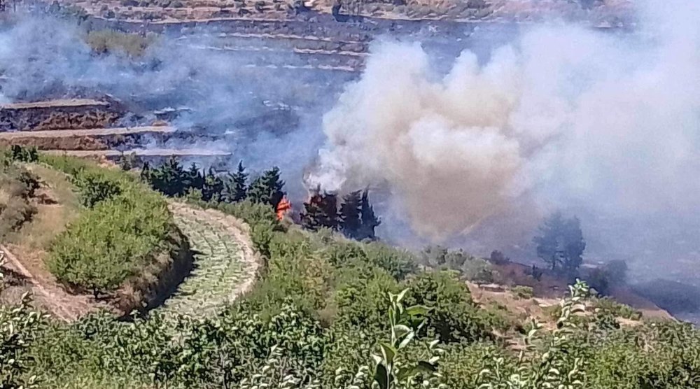 The forest fires crisis in Syria threatens the fate of farmers - En ...