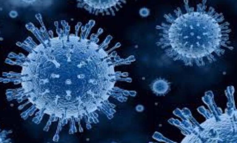 "Vampire" virus leaves scientists - En.ImArabic