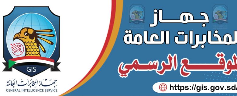 Badr Al-Din Abdel Hakim, Former General in the General Intelligence ...