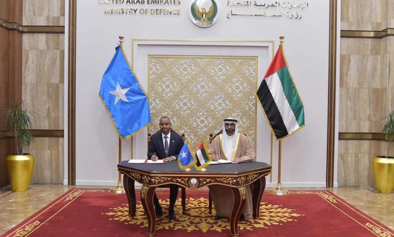 Somalia's Efforts with the Assistance of the United Arab Emirates in ...
