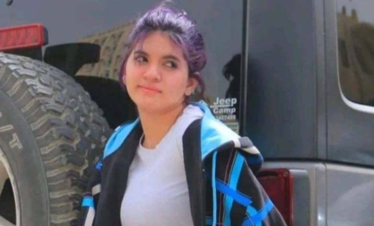 Suzy, the Jordanian TikToker, in the grip of Egyptian security... Accused of "attacking values ...