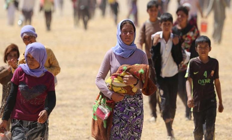 A Decade After the Genocide... the Suffering of the Yazidis Has Not ...