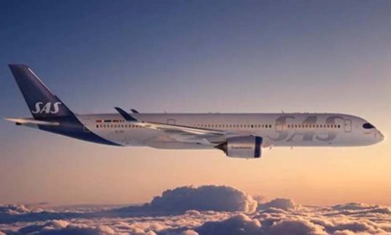 Rat Leaps from Meal Box, Forcing Emergency Landing in Copenhagen - En ...