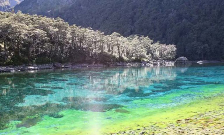 The World's Purest Lake Faces Pollution Threat from "Lake Mucus" - En ...