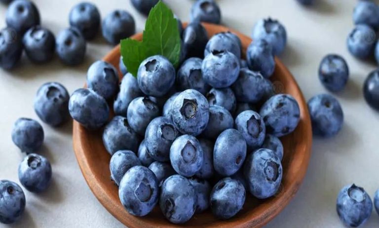 Blueberries: A Superfruit for Longevity - En.ImArabic
