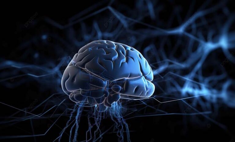 New Study: The Human Brain Cleans Itself During Sleep - En.ImArabic