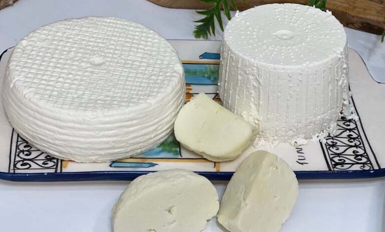 High-Fat Cheese: A True Ally for the Brain? - En.ImArabic